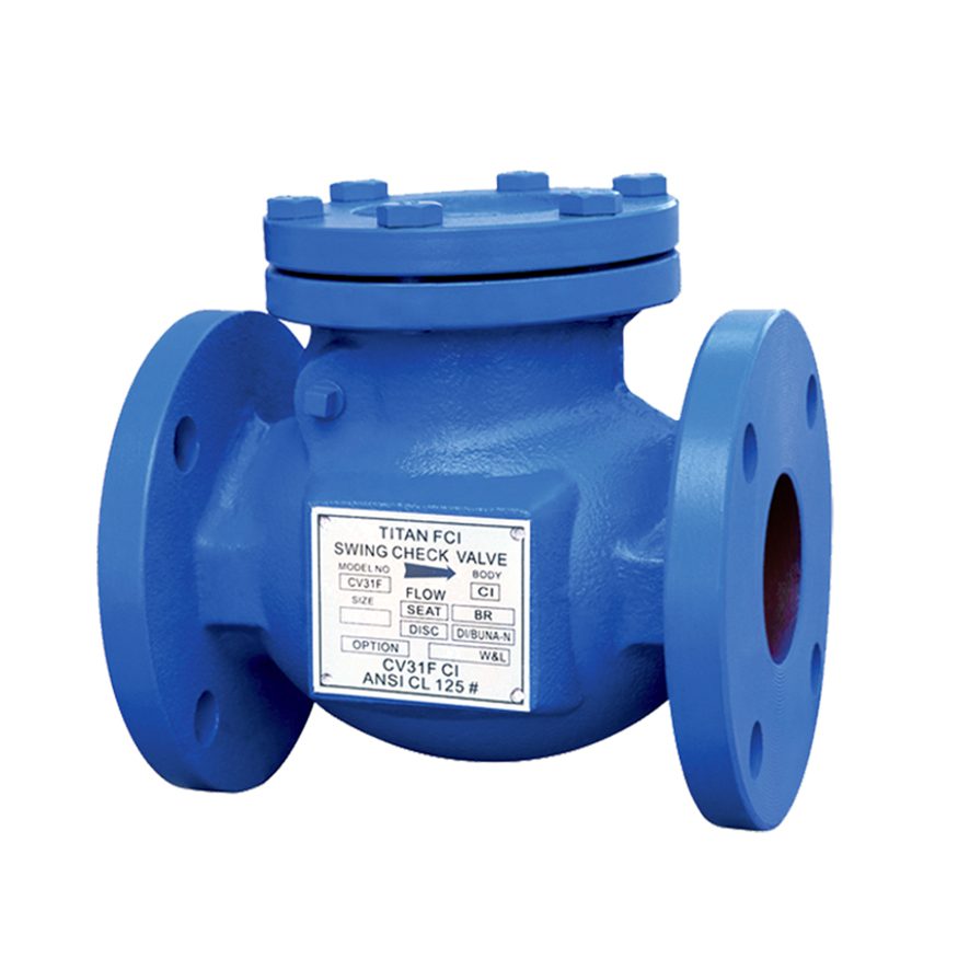 Titan CV 31F-CI Cast Iron Single Disc Full Body Swing Check Valve ...
